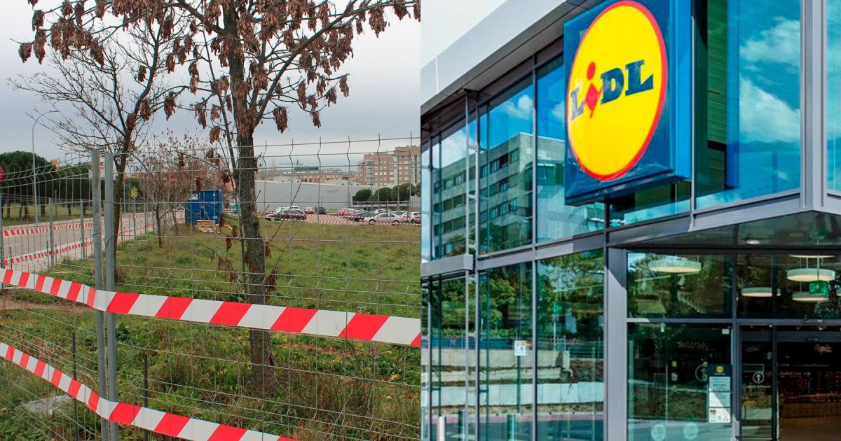 Lidl comienza su expansión en León con "su" nueva parcela por la que ...