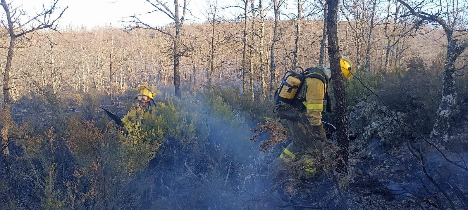 Medios aéreos y terrestres sofocan un incendio en Boisán (León)