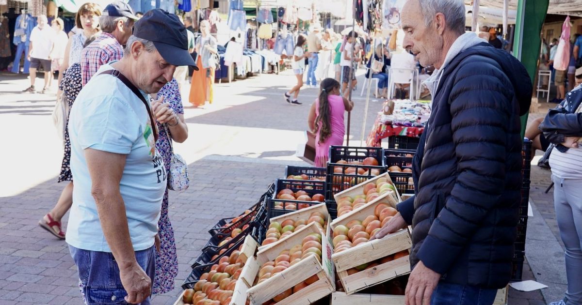 Mansilla de las Mulas (León) alcanza este años los 60.000 kilos de ...