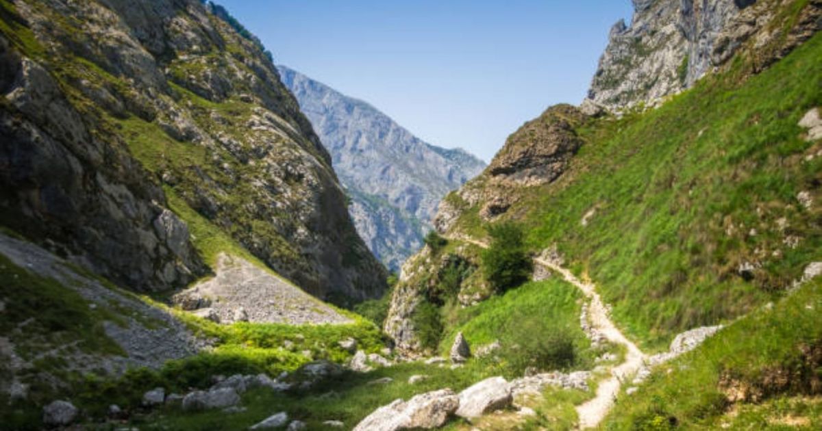 Licitada la construcción de un nuevo muladar en Picos de Europa, con ...